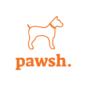 Appreciating Aspins: The Loyal and Loving Philippine Native Dogs – Pawsh