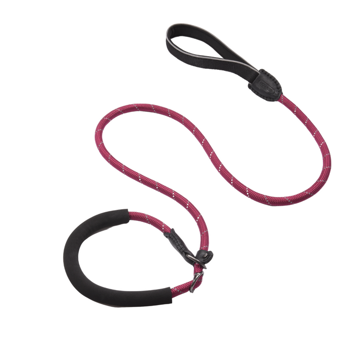 Pawsh Slip Lead Training Leash – Simple No-Collar Training Lead for Control